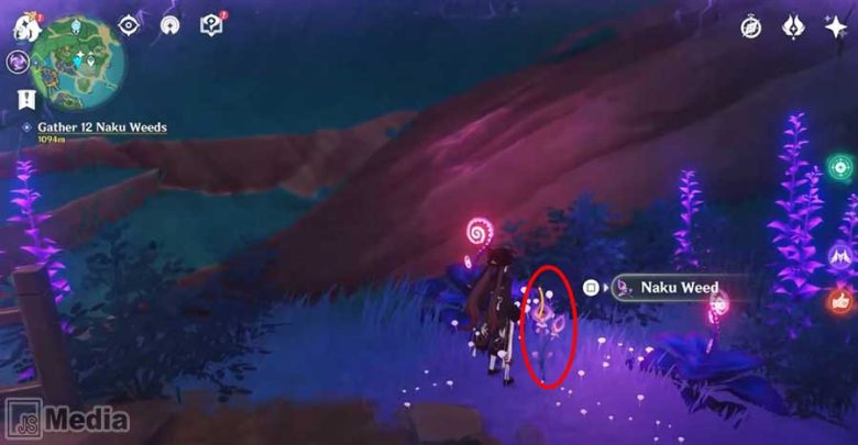 Lokasi Material Ascension Kuki Shinobu Genshin Impact 2.7