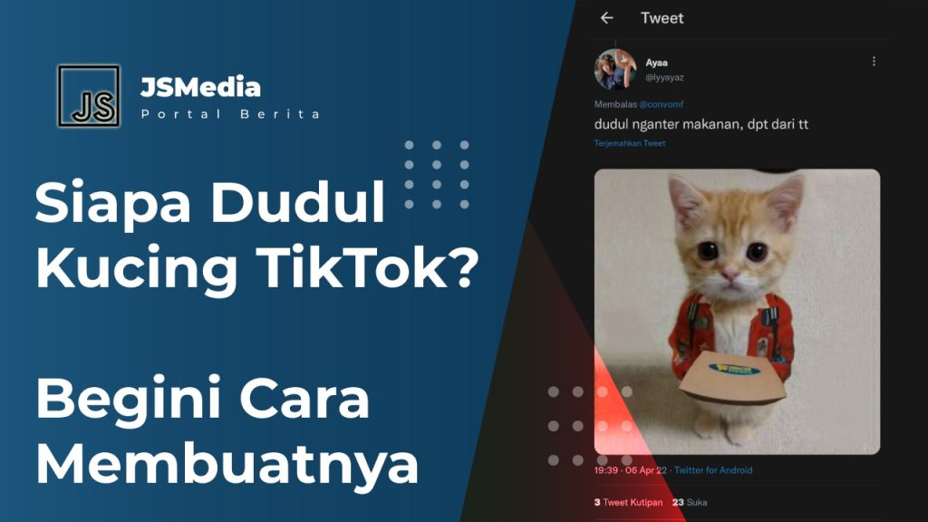 Siapa Dudul Kucing TikTok? Begini Cara Membuatnya